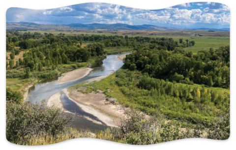 Friends of the Yampa